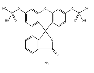 Fluorescein diphosphate, tetraammonium salt CAS 217305-49-2 - Jiangsu ...