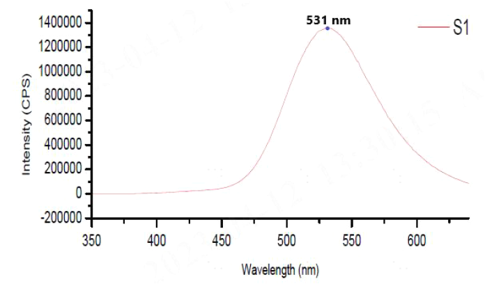 Fluorescein potassium salt CAS 6417-85-2 - Jiangsu Watson Bio Ltd